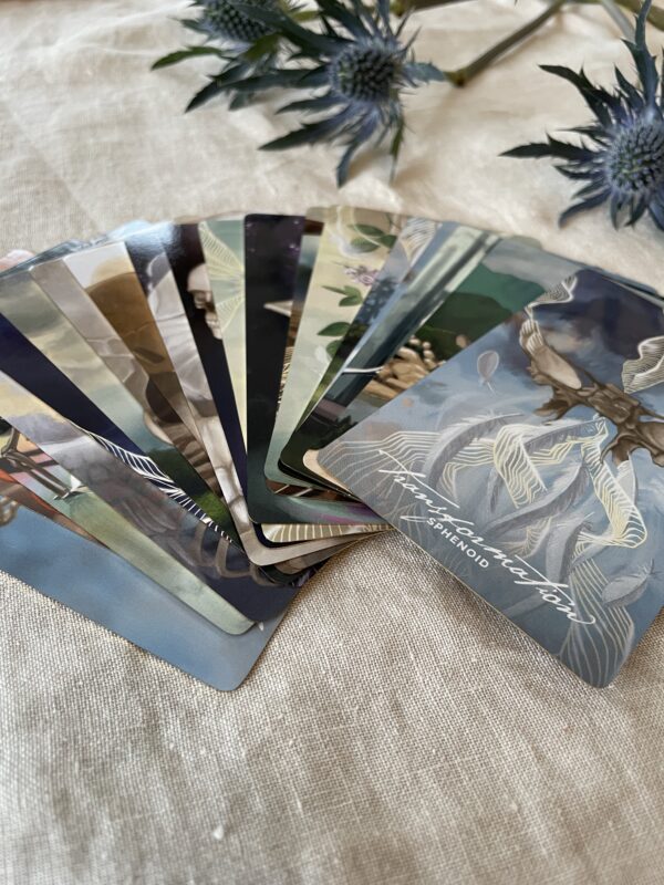 Bone Codes oracle deck and instructional guide | Pre-Sale - Ash Stinson