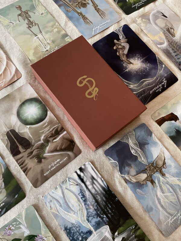 Bone Codes oracle deck and instructional guide | Pre-Sale - Ash Stinson