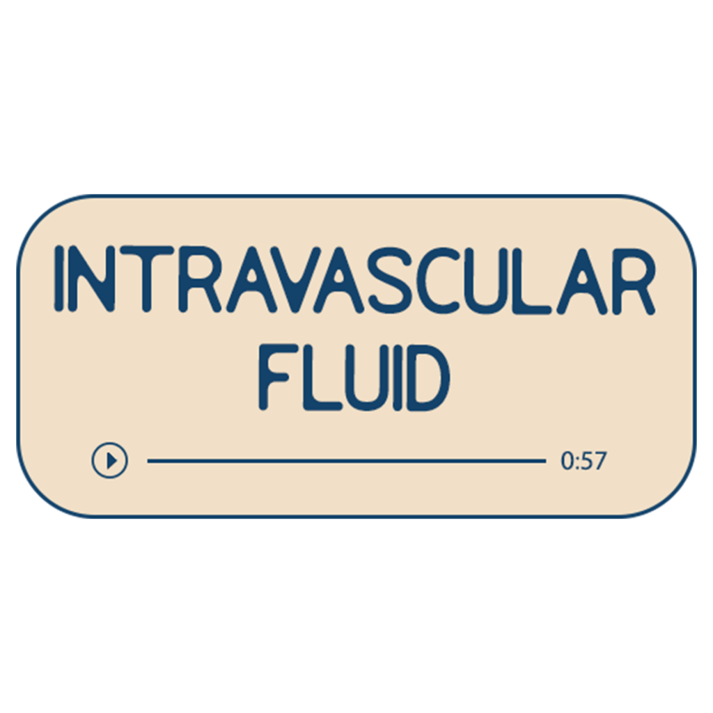 Intravascular Energy Healing: the rhythm of your inner ocean - Ash Stinson