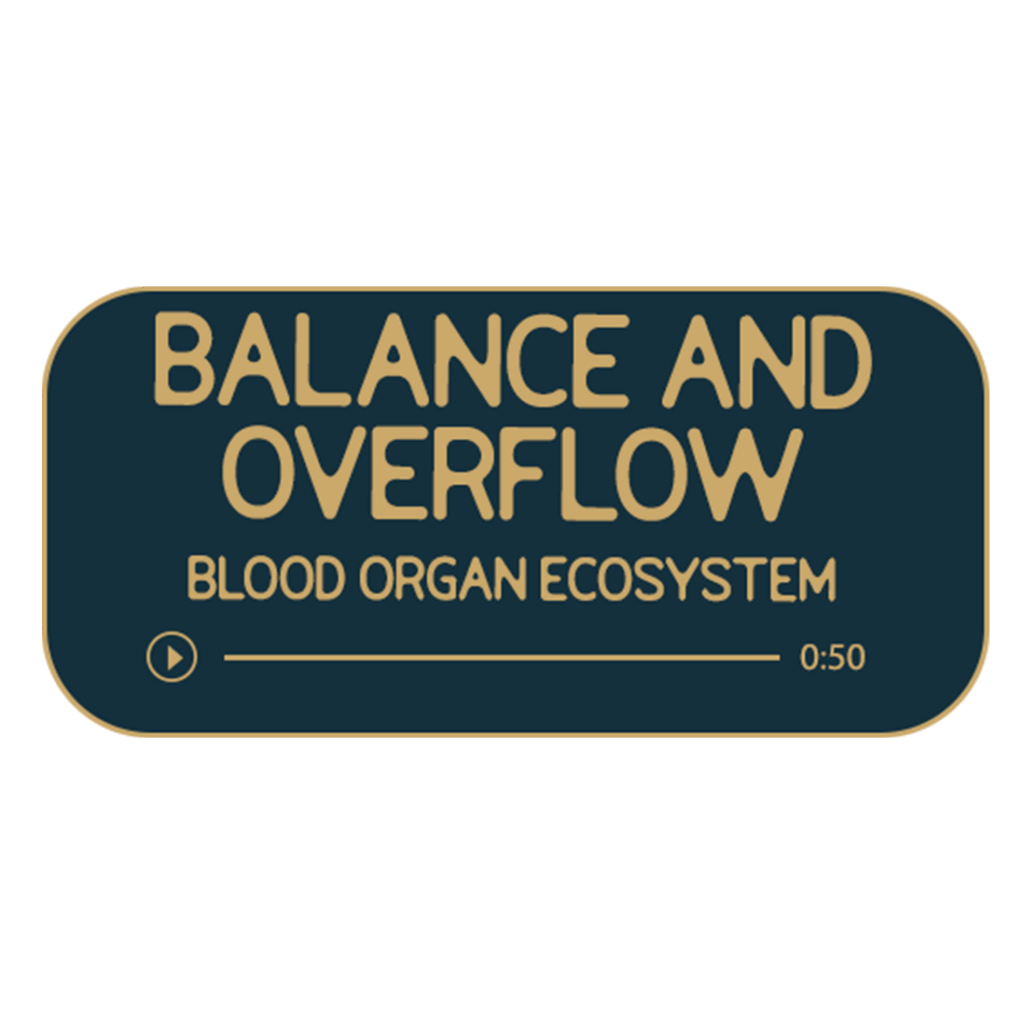 Balance and Overflow: Your Blood Organ Ecosystem - Ash Stinson